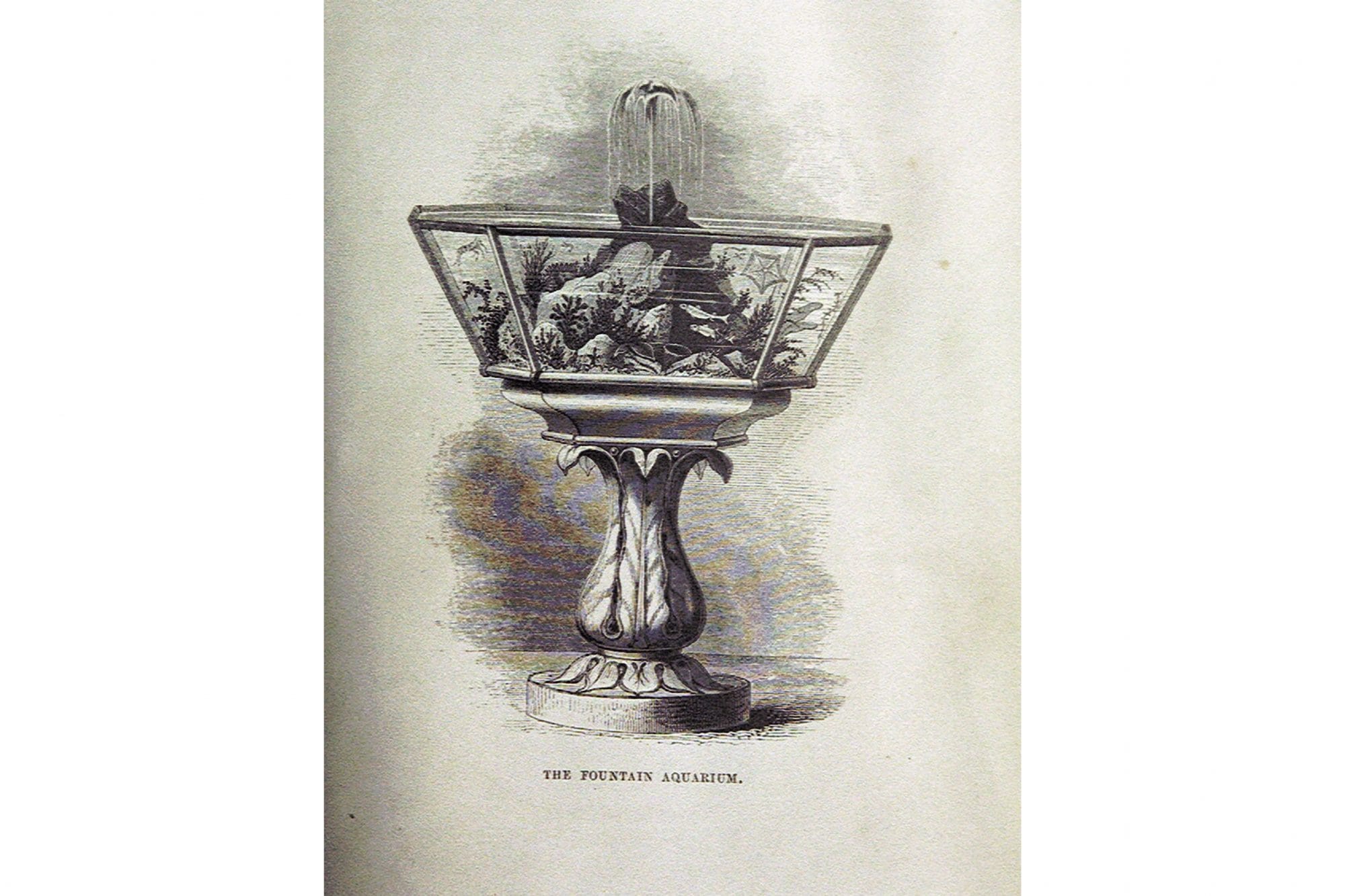 Philip Henry Gosse: Naturalist and Aquarium Pioneer - the Horniman