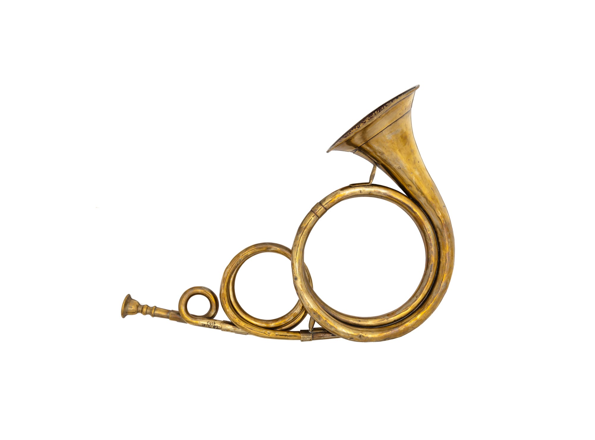 About the Horniman - Horniman Museum and Gardens