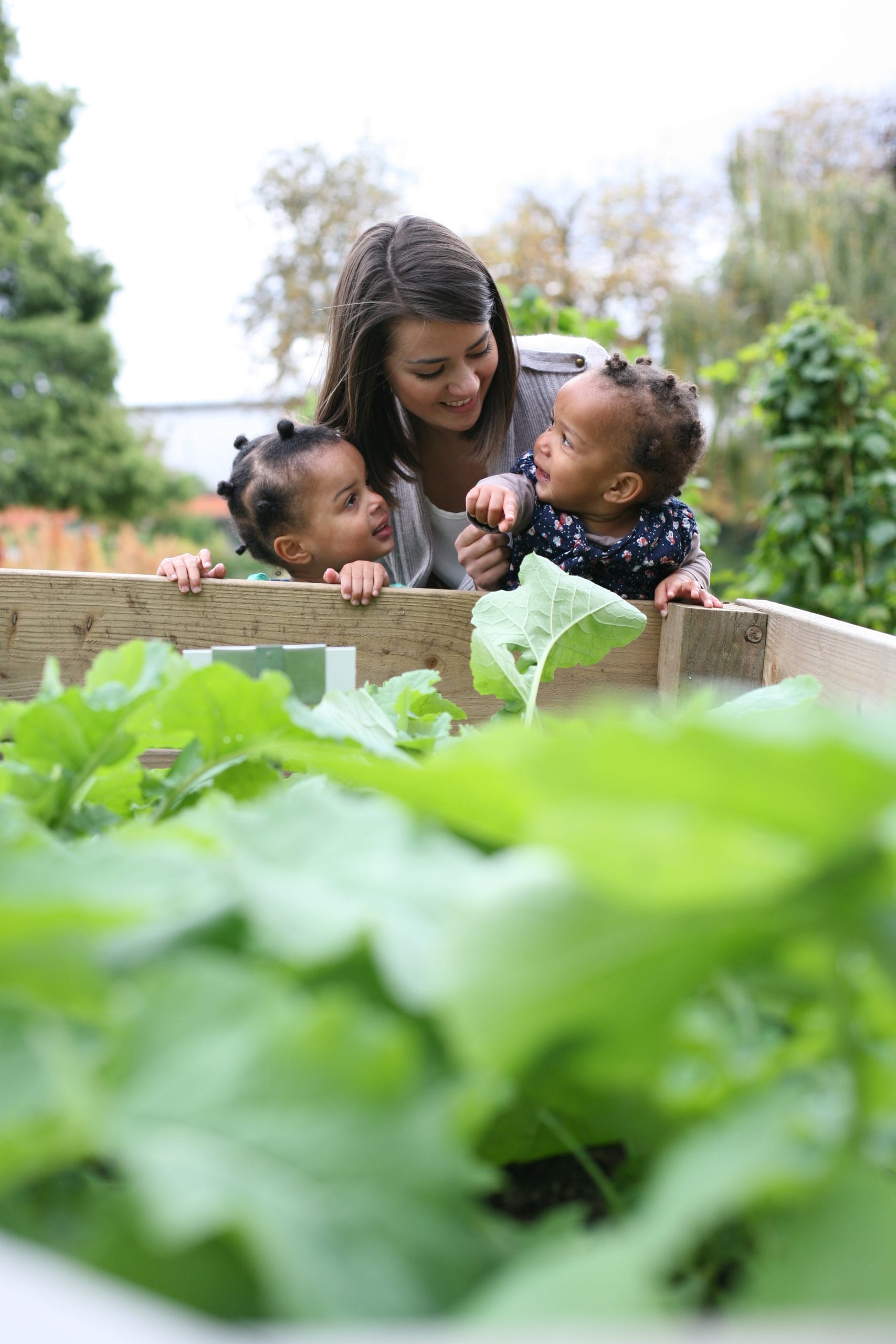 The biggest and smallest animals in the world - Horniman Museum and Gardens