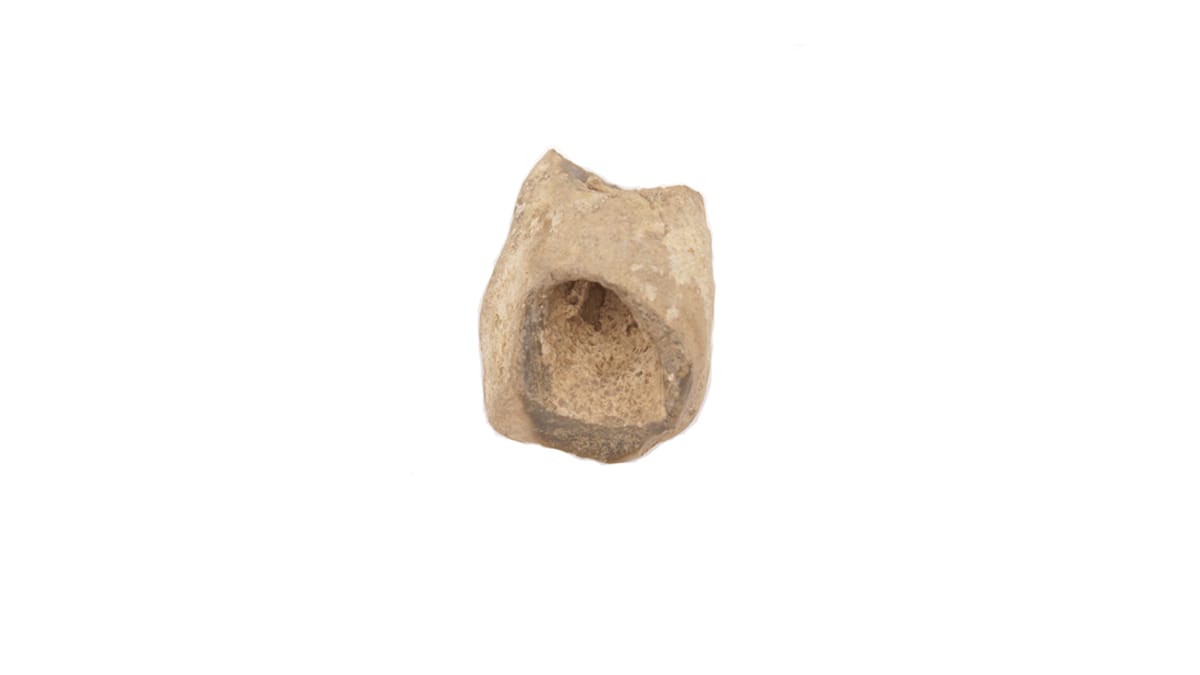 Four ways to ward off witches - Horniman Museum and Gardens