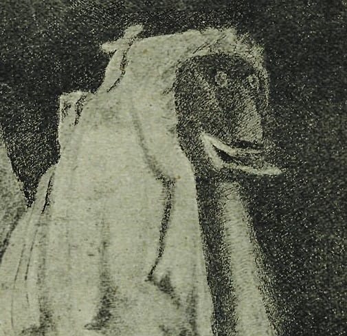 The wizened wise women of Christmas - Horniman Museum and Gardens