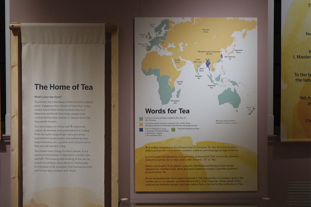 Chá, Chai or Tea? - Horniman Museum and Gardens
