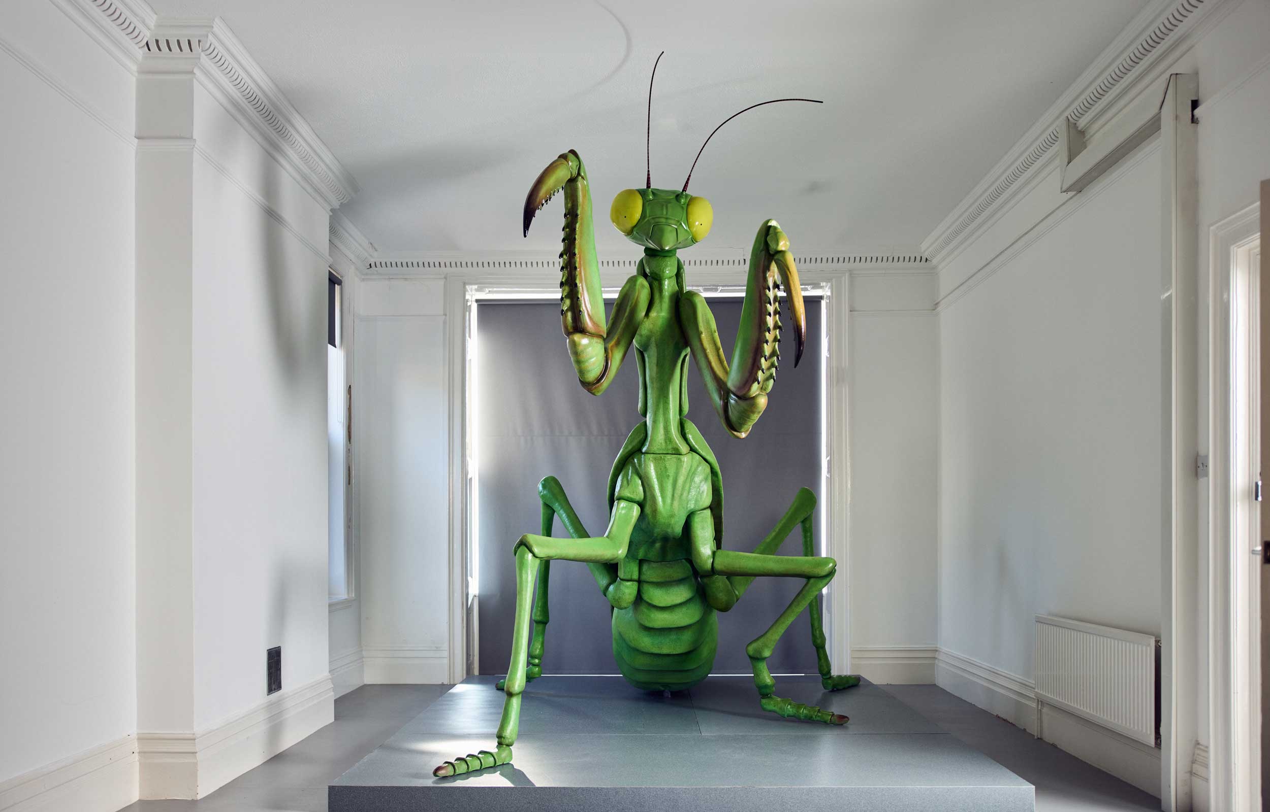 What's On - Horniman Museum and Gardens