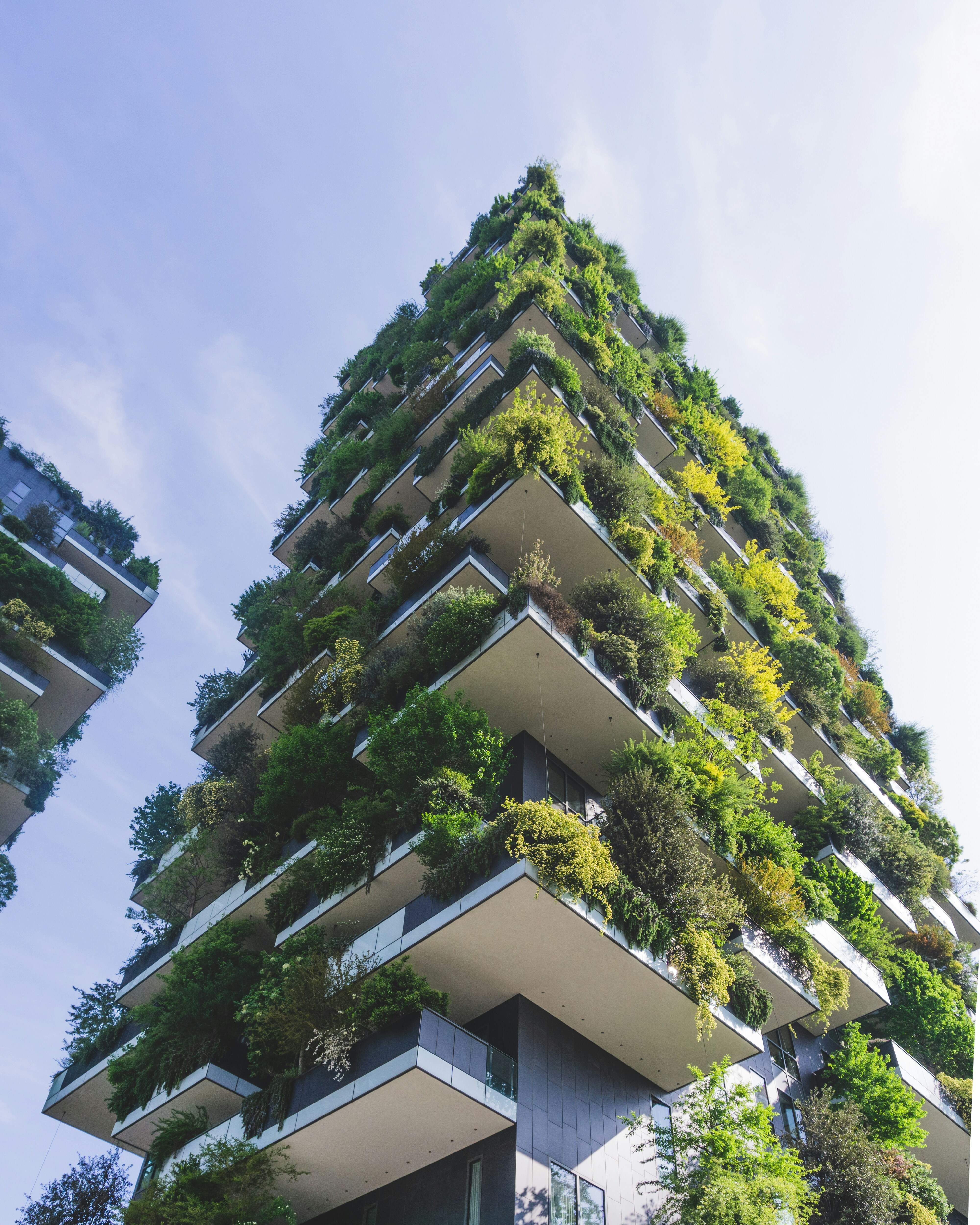 How does nature inspire cities? - Horniman Museum and Gardens